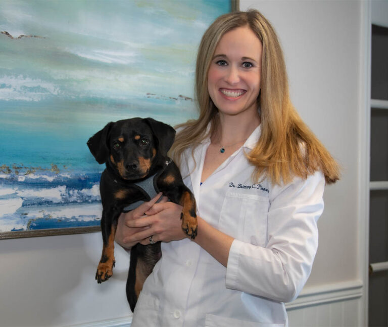 Meet the Team | Pier Dental